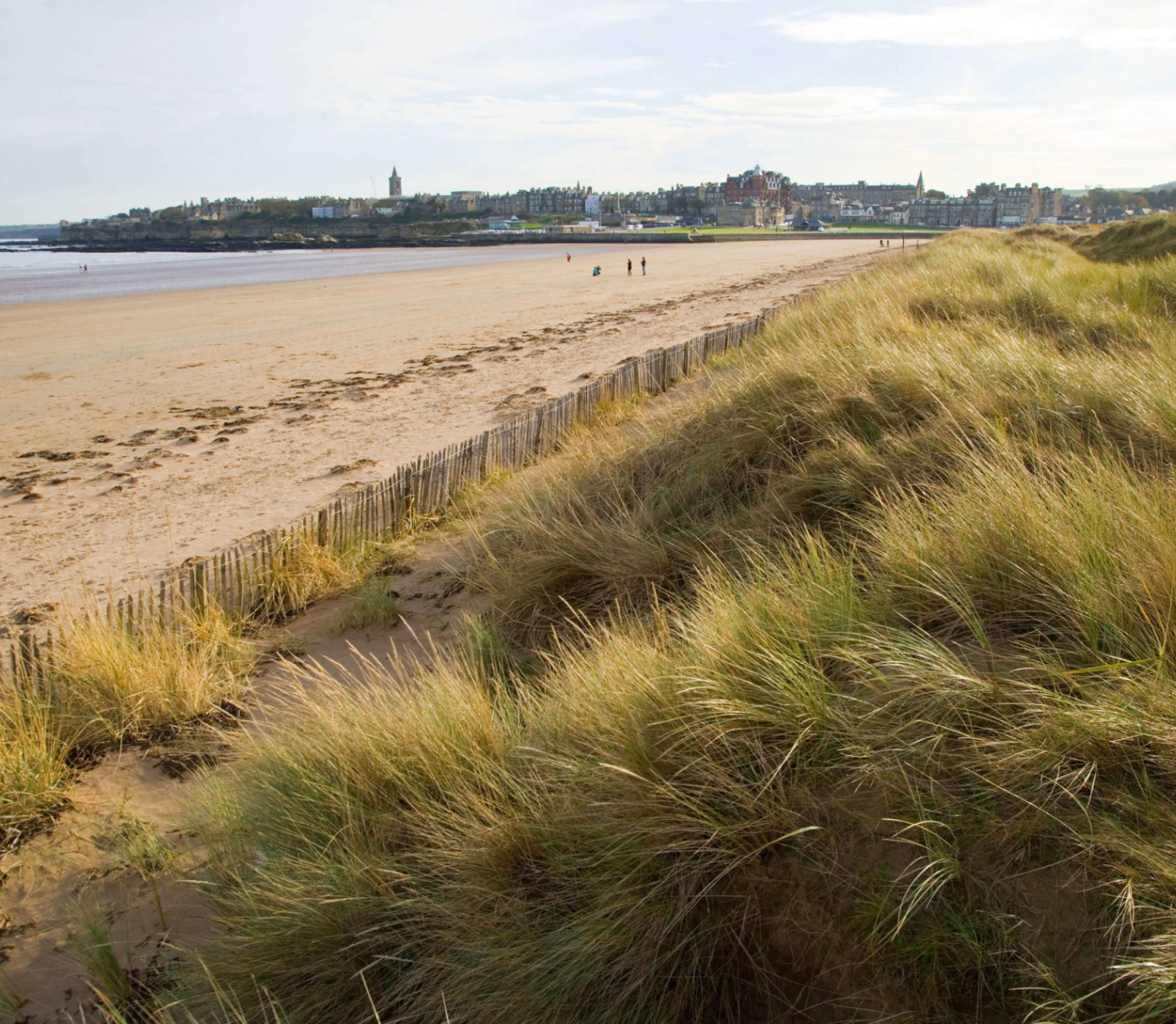 Our stores recommend: A guide to St Andrews - Crew Clothing Company